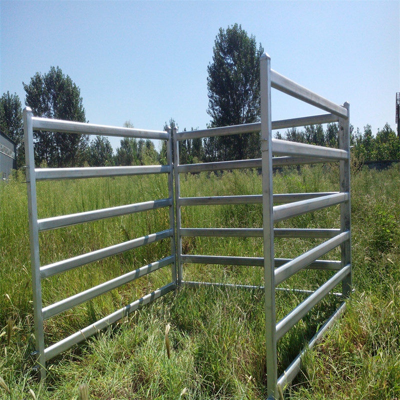 Repurposed Cattle Fencing