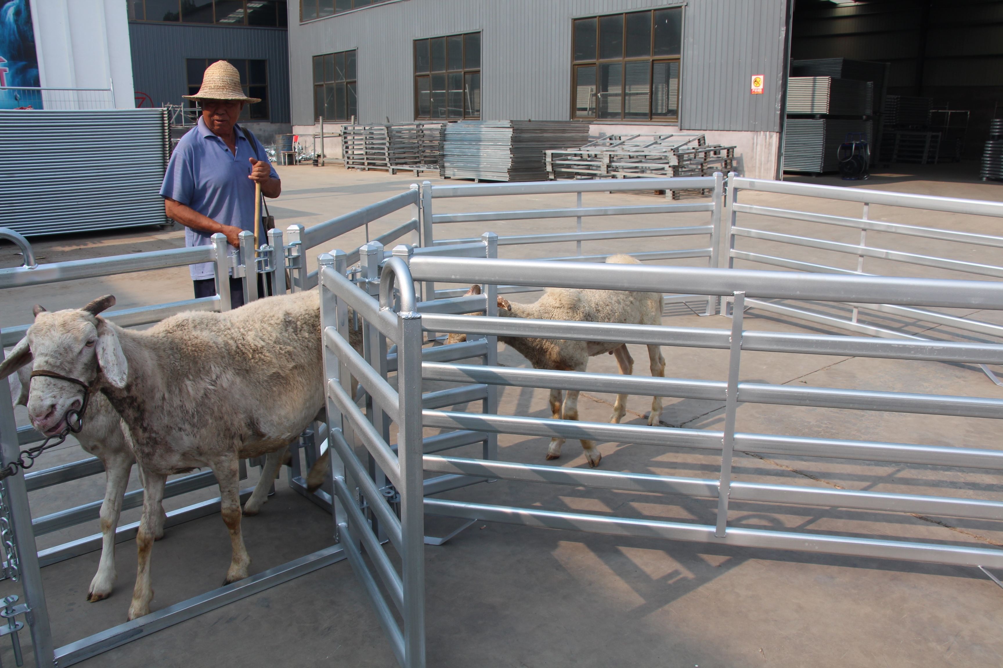 corral panels