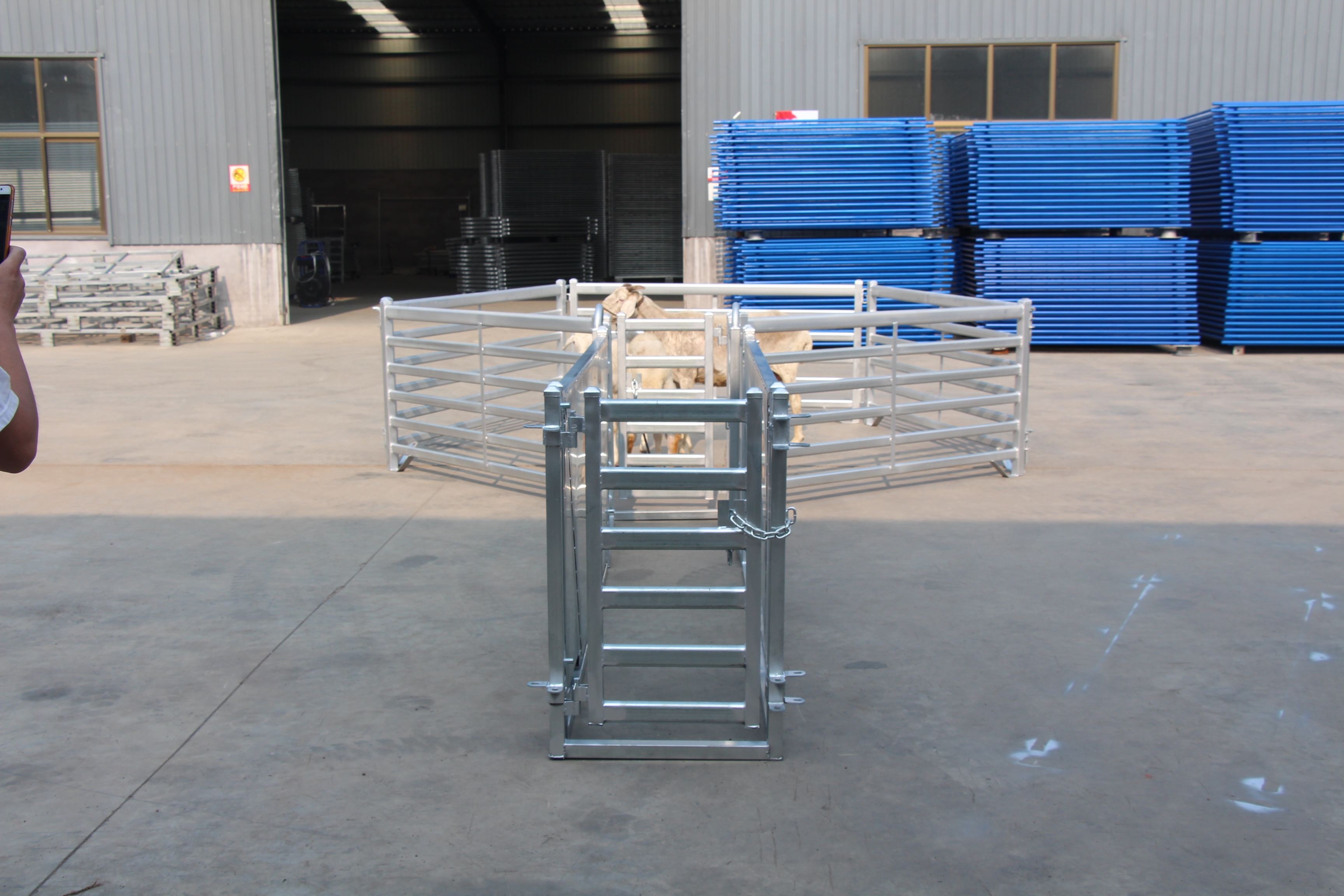 corral panels