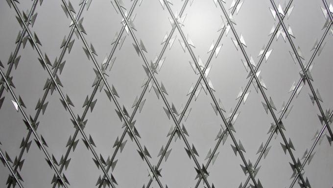 razor wire mesh