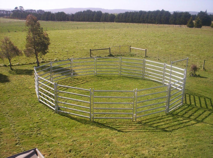 Horse panel fence