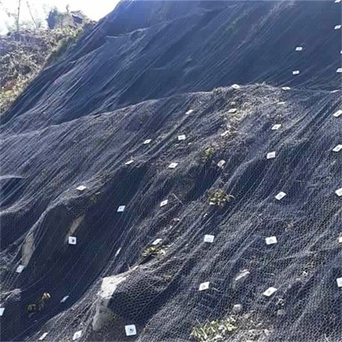 Rockfall Netting