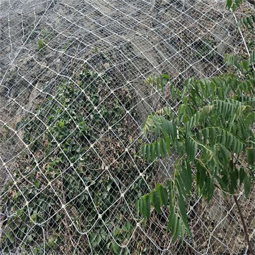 Rockfall Netting