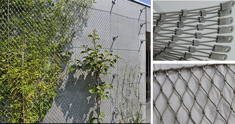 Green Wall Stainless Steel Cable Mesh: Versatile Solution