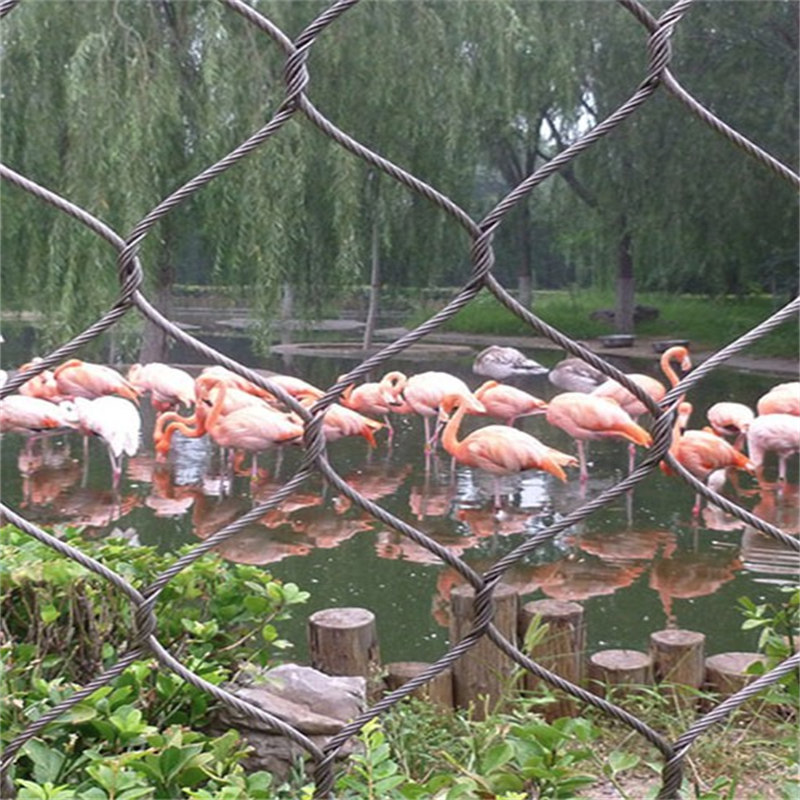 Stainless steel bird netting